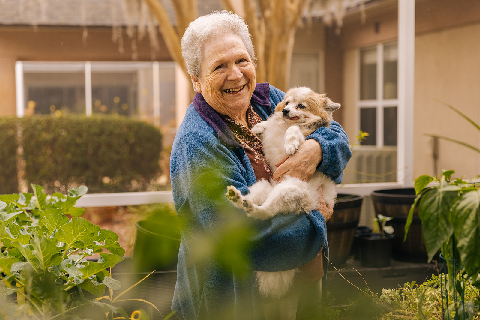 River Garden – ruckus