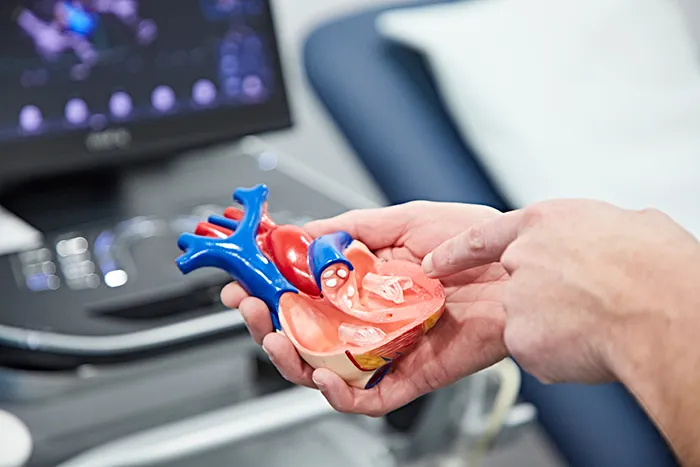 Ultracardiac | Echocardiography | Heart Ultrasound Scans