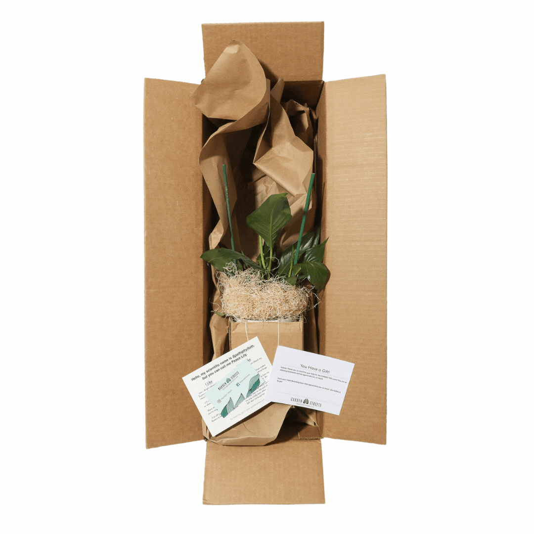 Mother Earth approved: 7 sustainable Earth Day gifts