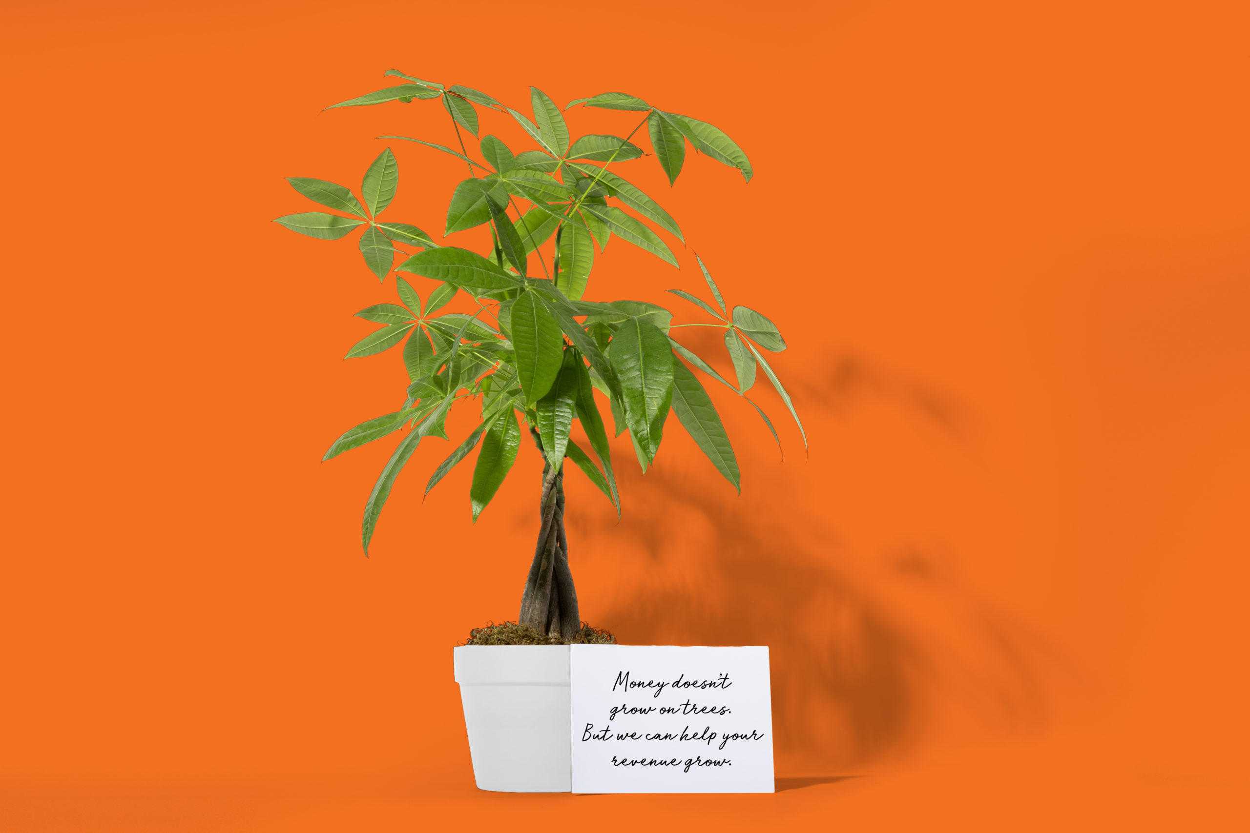 30 Virtual Swag Ideas That Will Leave an Impression