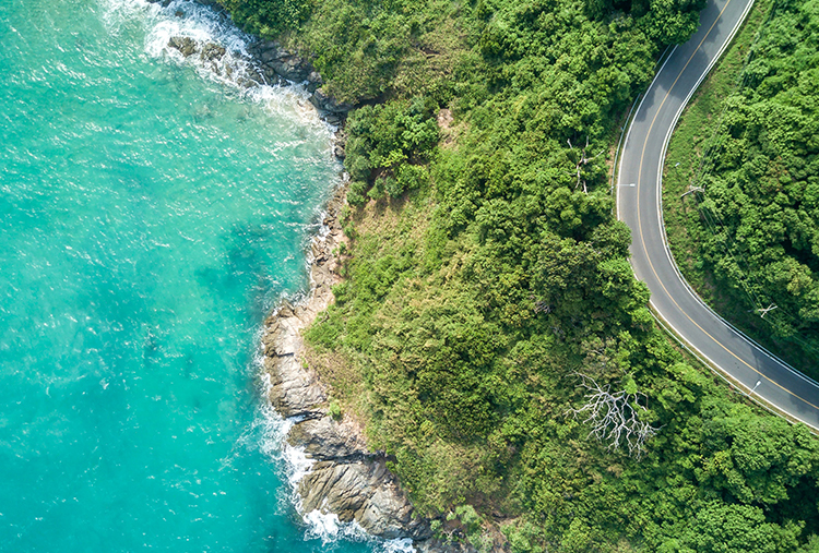 Types and Categories of Projects in the VCM