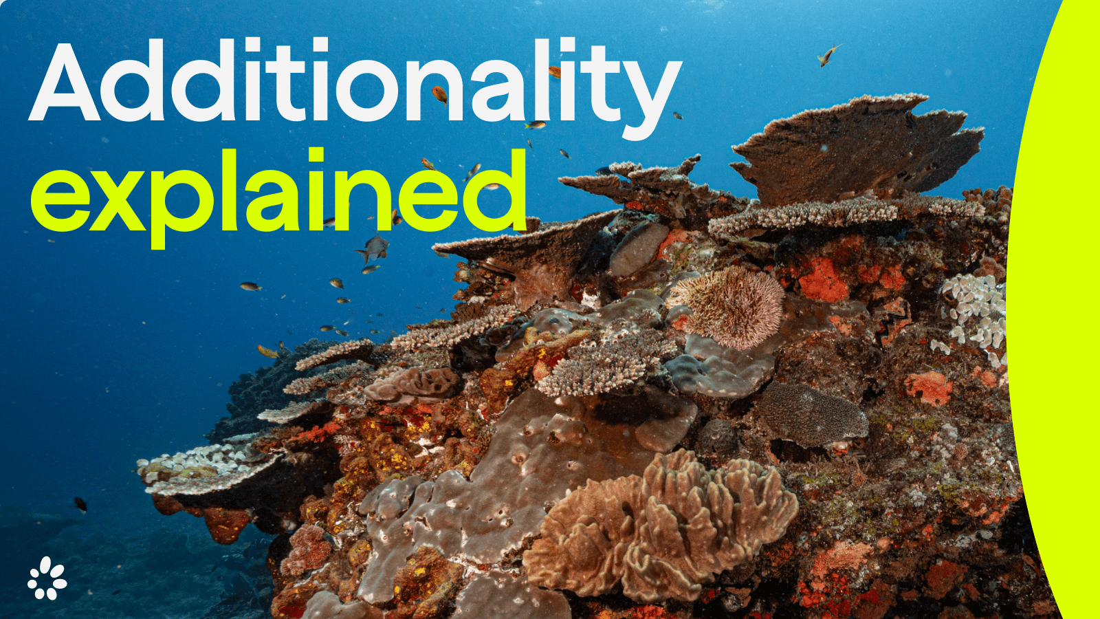 Additionality explained