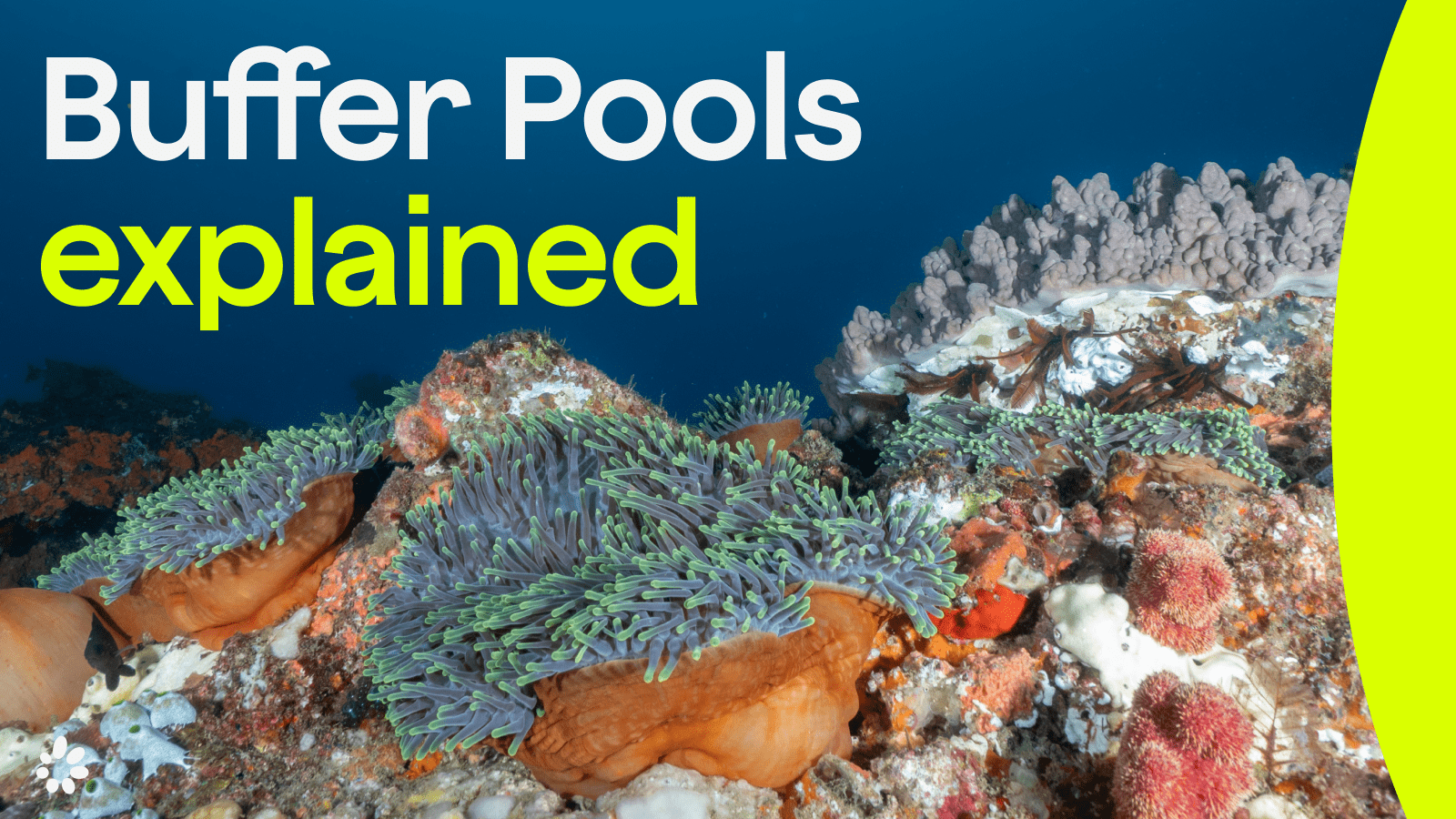 Buffer Pool explained