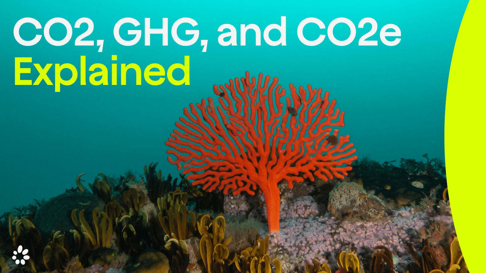 CO2, GHG, and CO2e explained