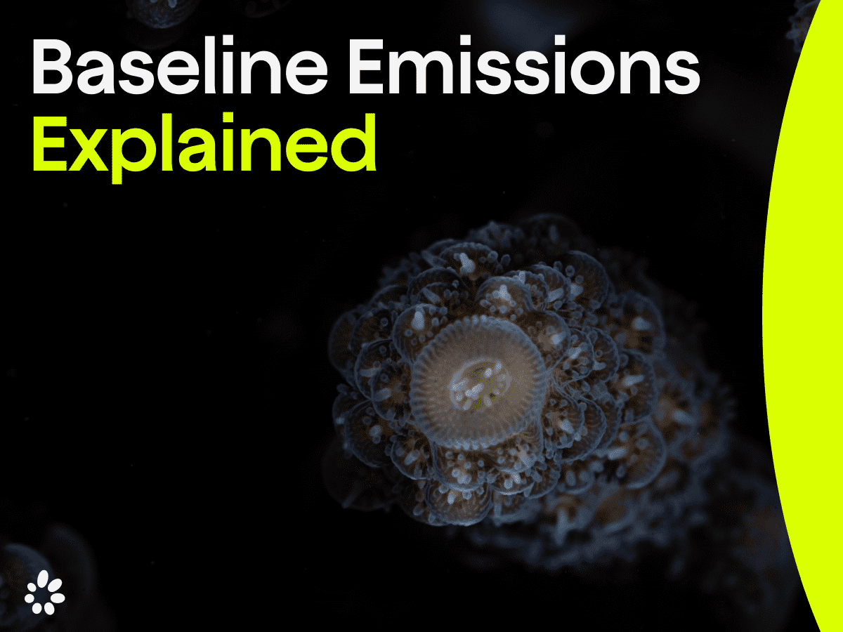Baseline Emissions
