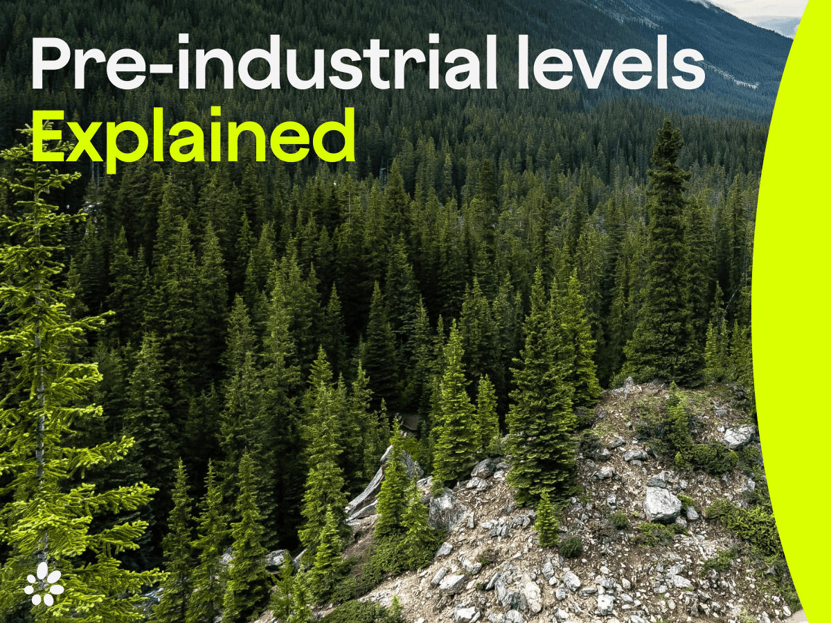 Pre-industrial Levels