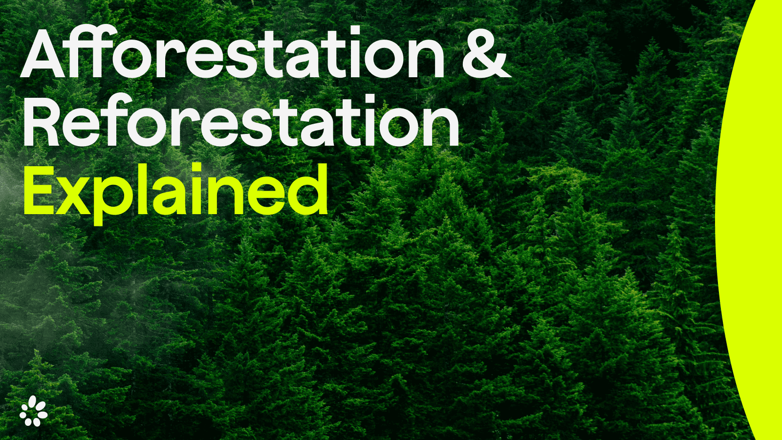 Afforestation & Reforestation explained