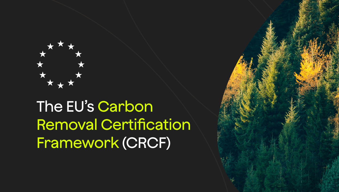 Understanding the EU's new Carbon Removal Certification Framework
