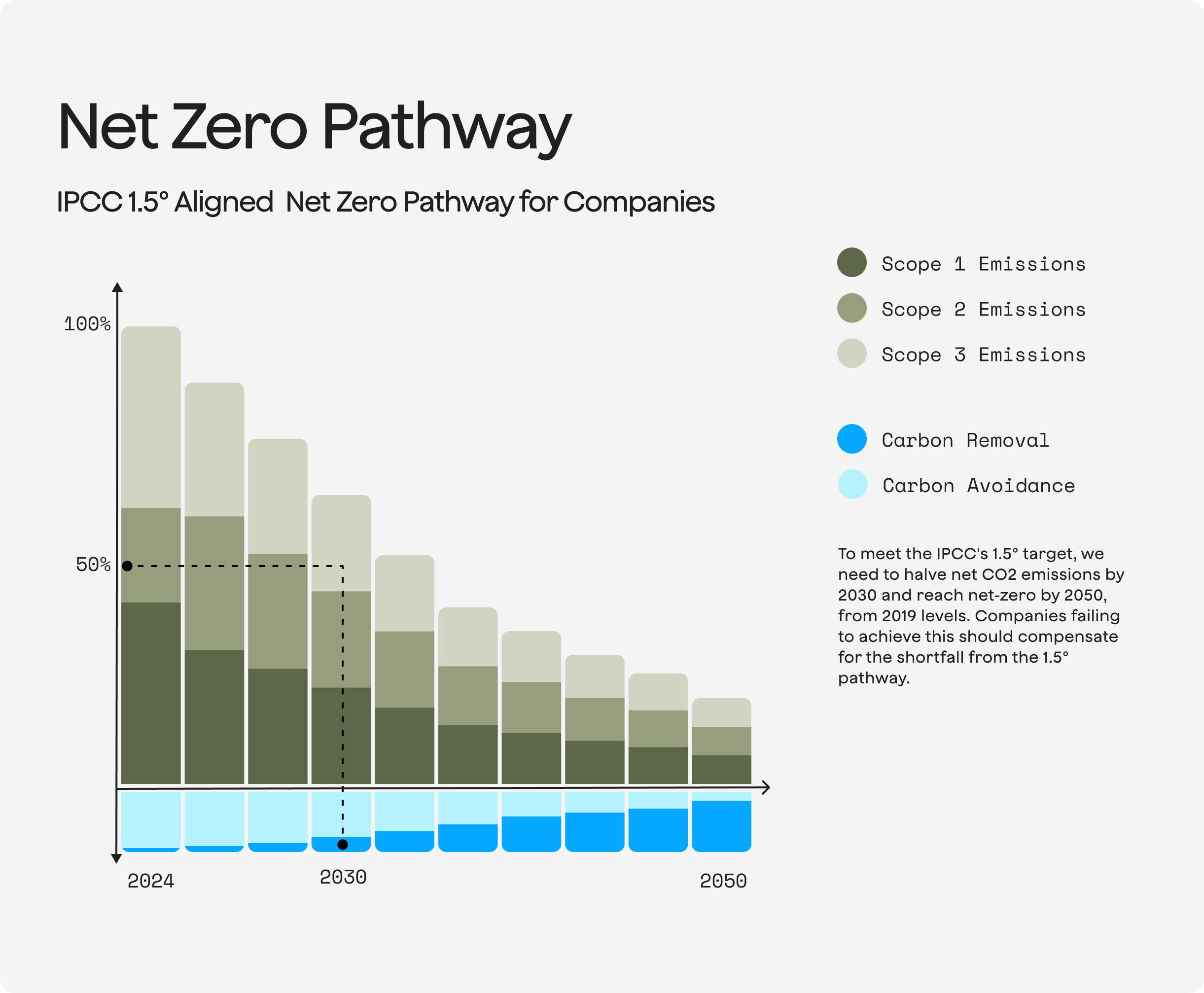 The Corporate Advantage Of Leveraging Net Zero and Carbon Credit Strategies