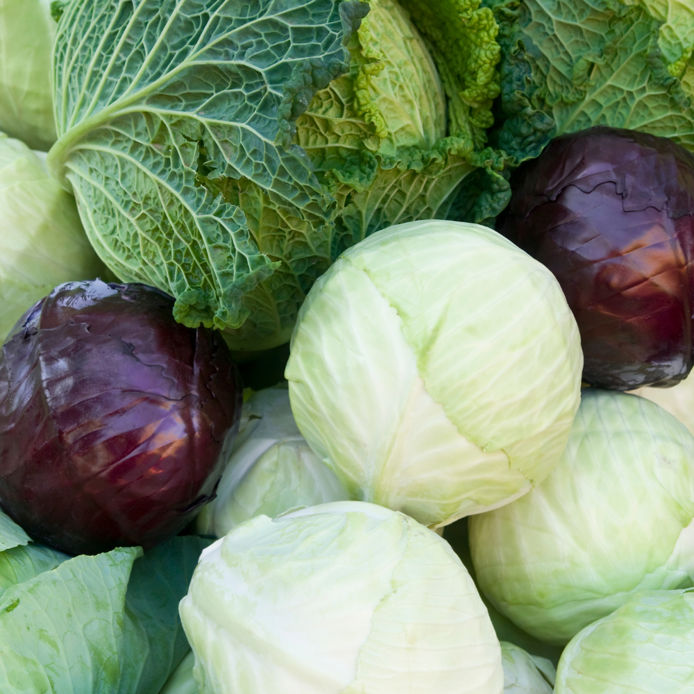 Green Heart Garden | CSA - Cabbage