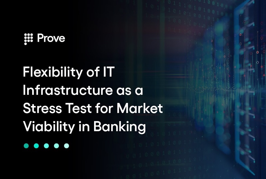 Flexibility of IT Infrastructure as a Stress Test for Market Viability ...