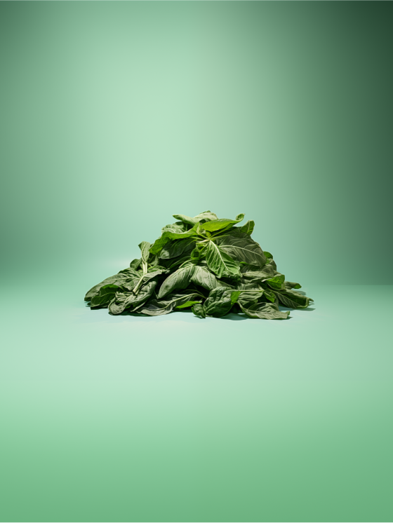 Day 8: The next-gen plant protein