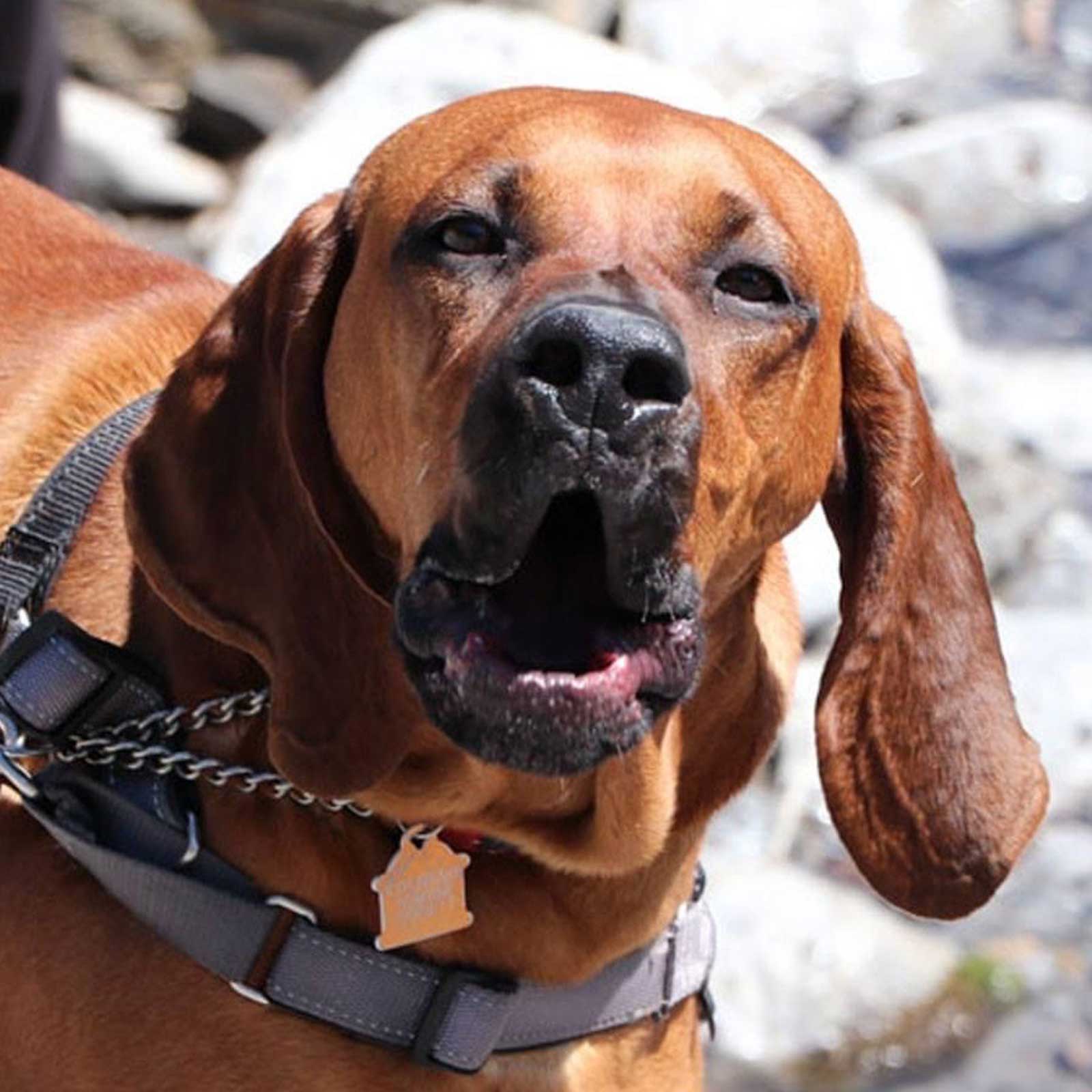 Training & Education | Cochrane & Area Humane Society