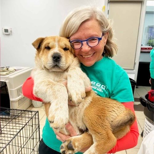 Volunteer At the CAHS | Cochrane & Area Humane Society