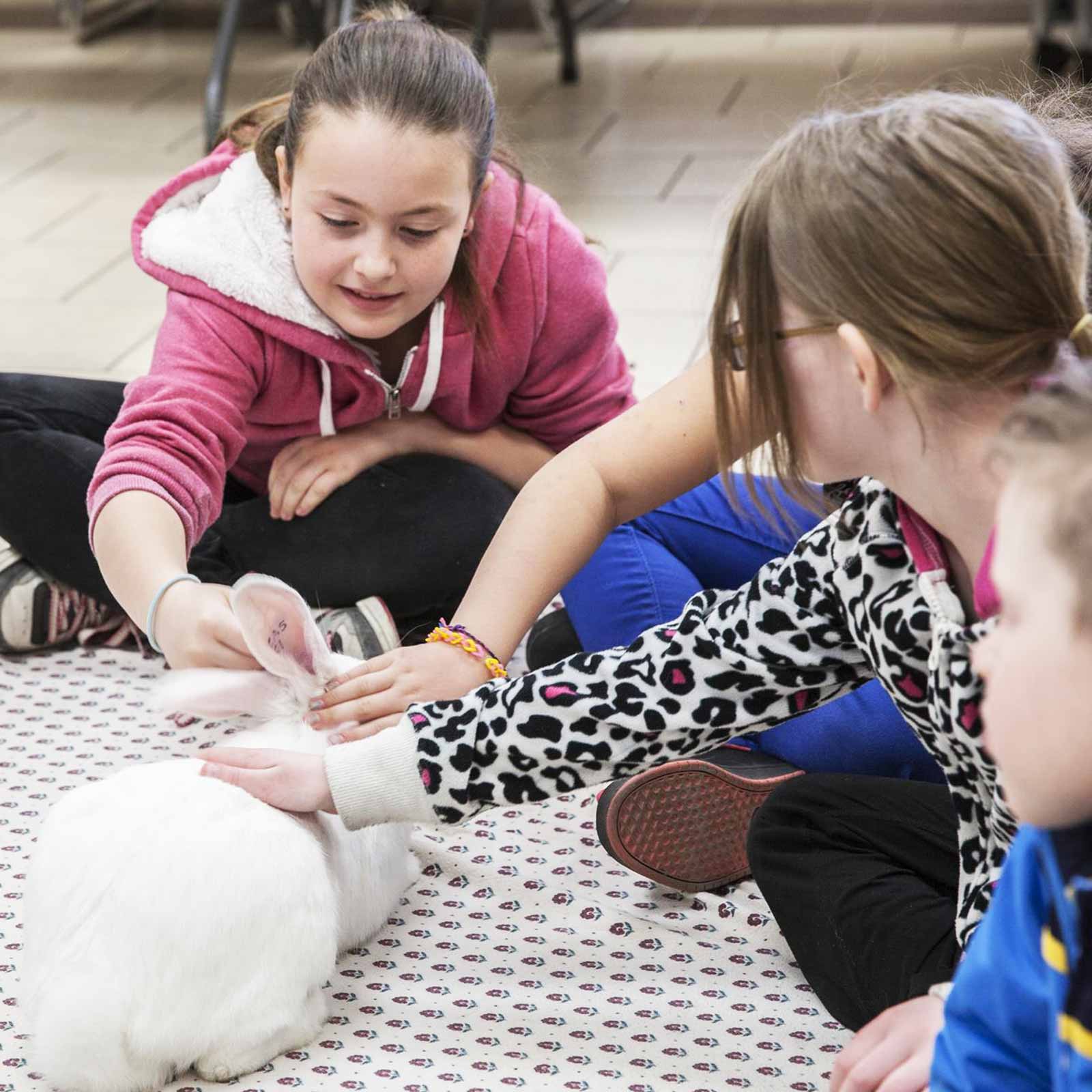 Programs & Services | Cochrane & Area Humane Society