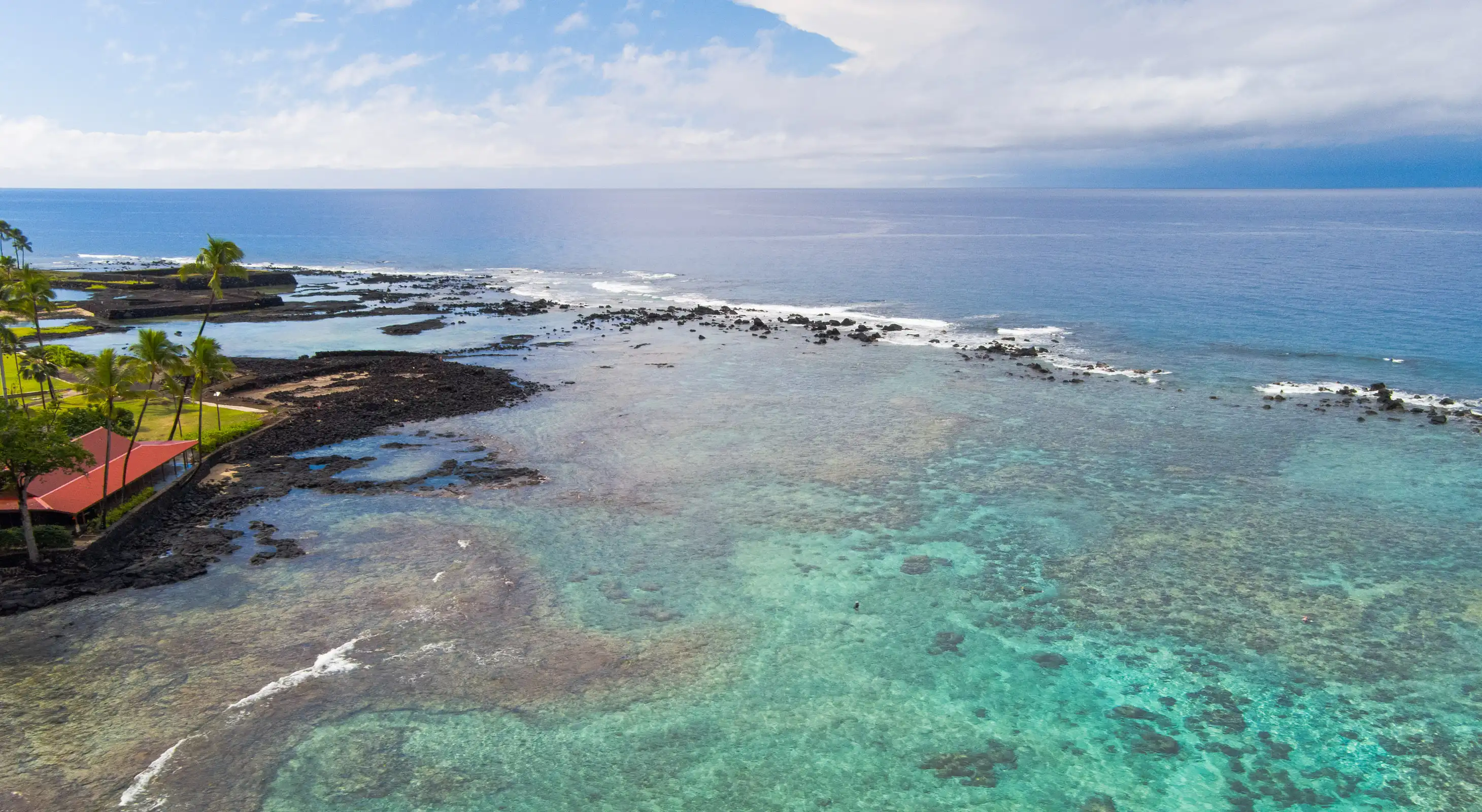 ʻĀkoʻakoʻa: Championing Coral Reef Restoration in Hawaiʻi