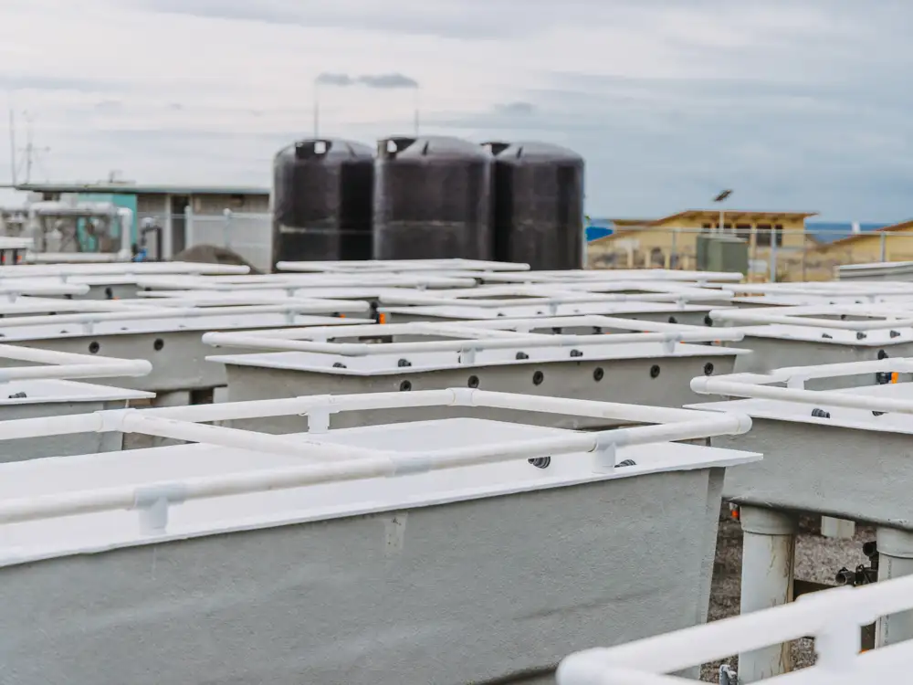 ʻĀkoʻakoʻa Operations: Advancing Coral Conservation in Hawaiʻi