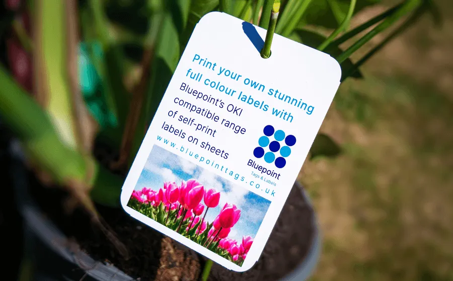 Bluepoint Tags & Labels | Premier Industrial Tag & Label Solutions in ...