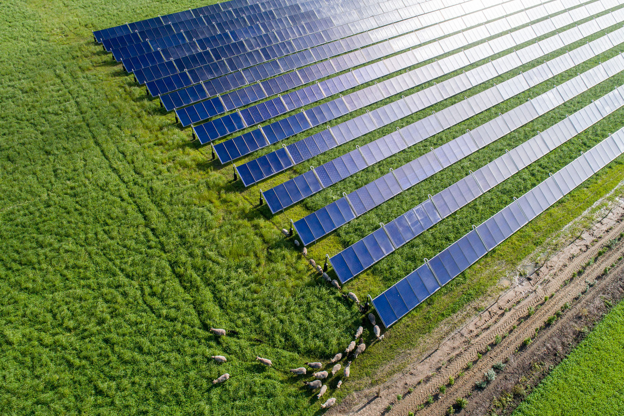 Renewable Sweden