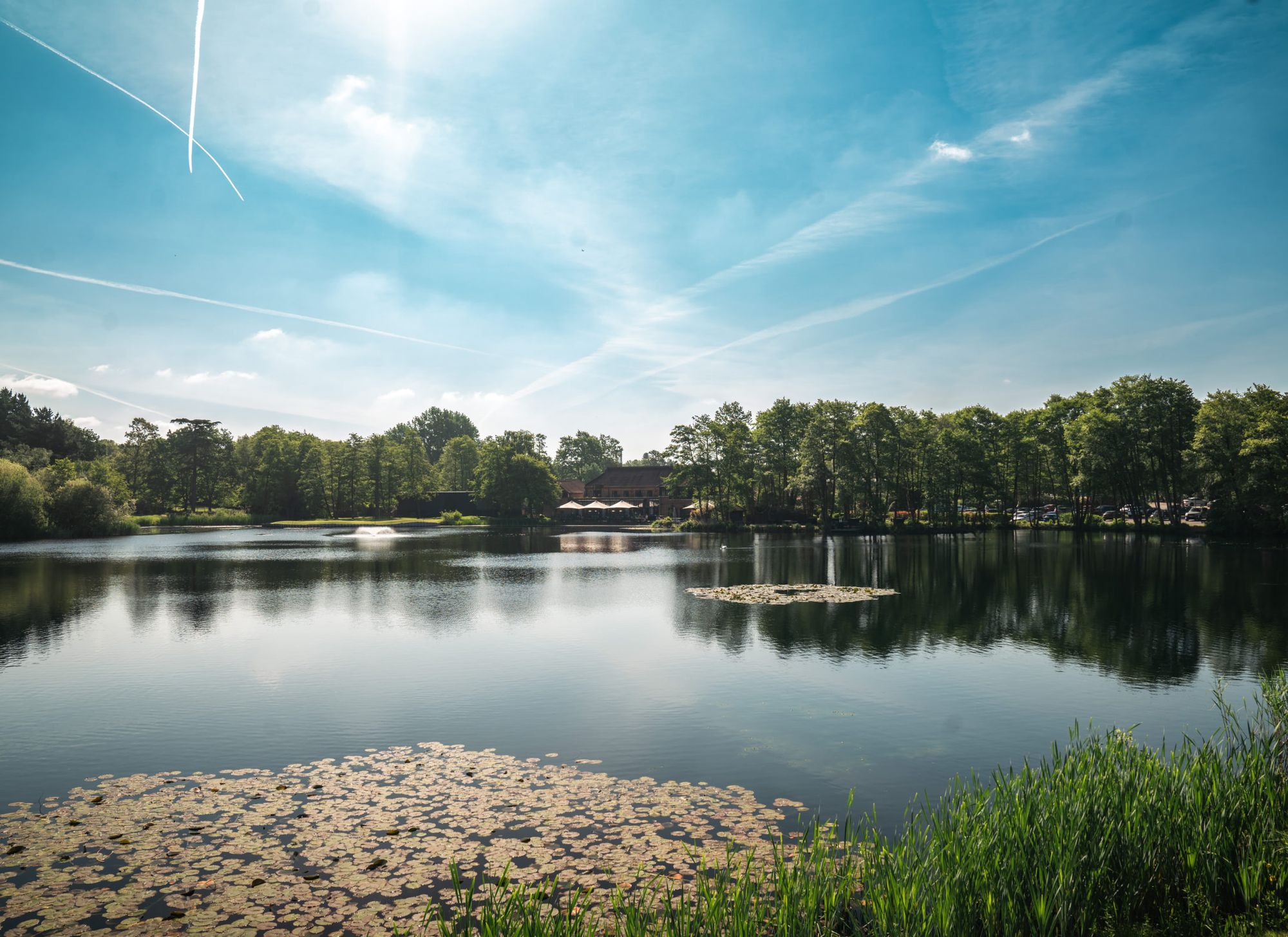 Restaurant | Silvermere Golf Club in Surrey, Near London