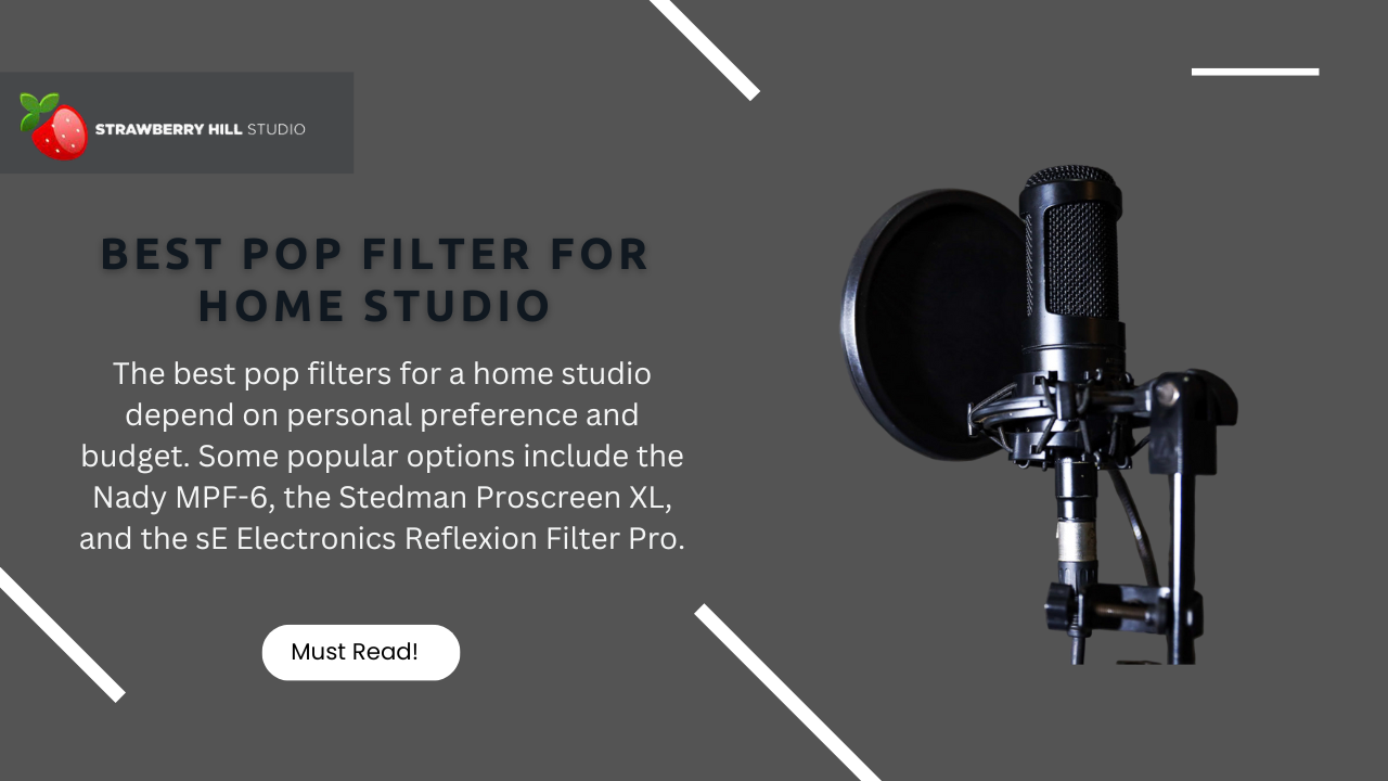 Pop Filters : How to Find the Best Pop Filter for Home Studio Setup