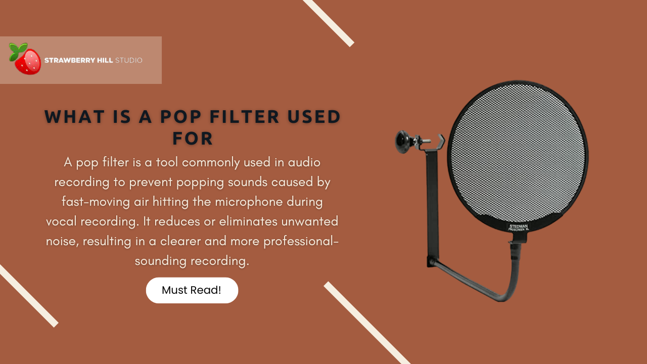 Mastering the Art of Audio Recording: What is a Pop Filter Used For?