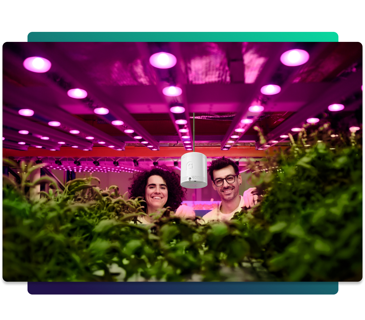 Dial in your grow room & grow the best plants - Grow Sensor