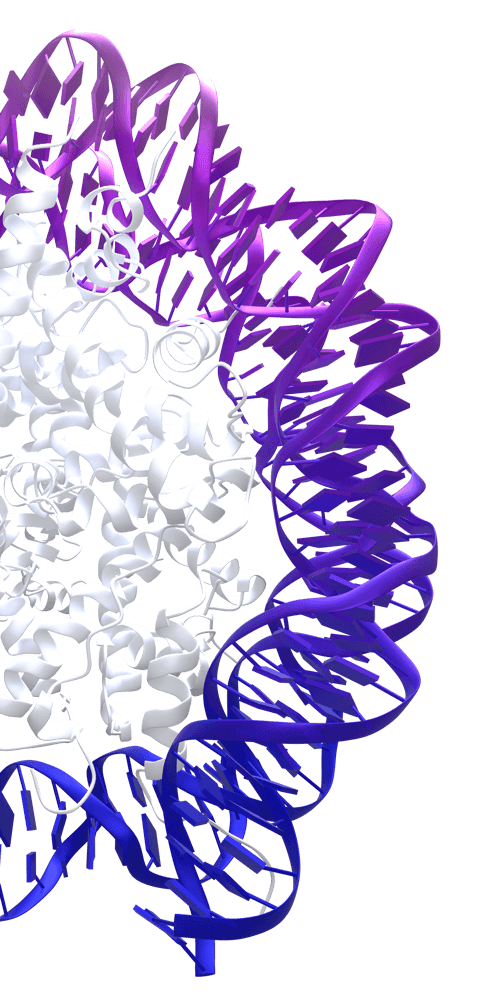 RECEPTOR.AI | AI-Driven Drug Discovery