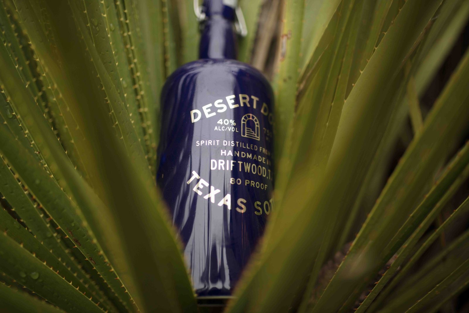 About Desert Door Sotol | Our Story and Craftsmanship