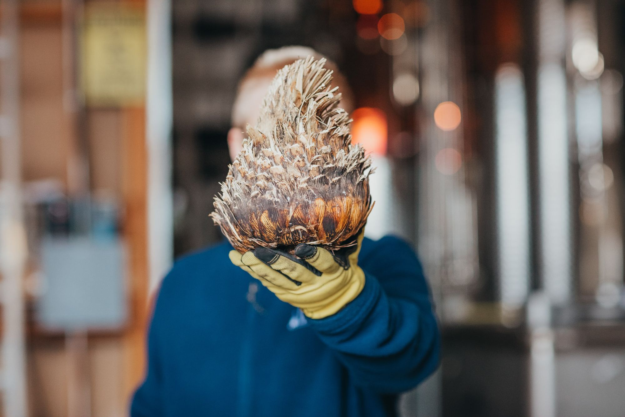 About Desert Door Sotol | Our Story and Craftsmanship