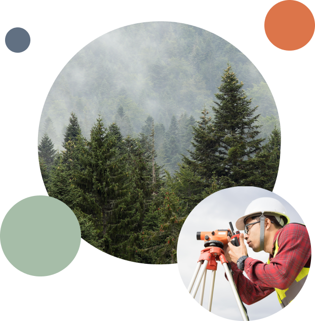 FLINTpro - For Carbon Projects