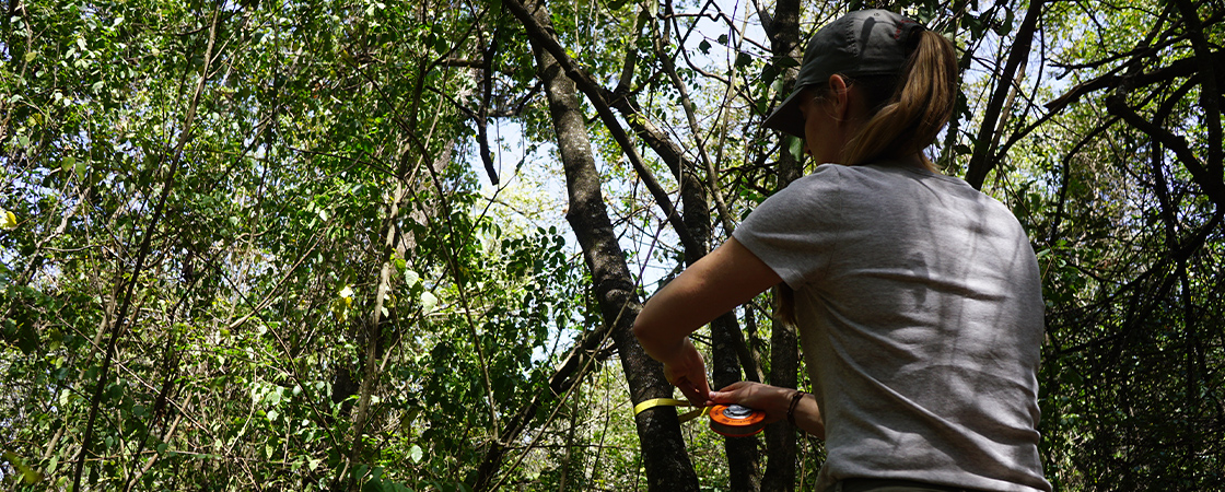 FLINTpro Accelerates Carbon Project Development