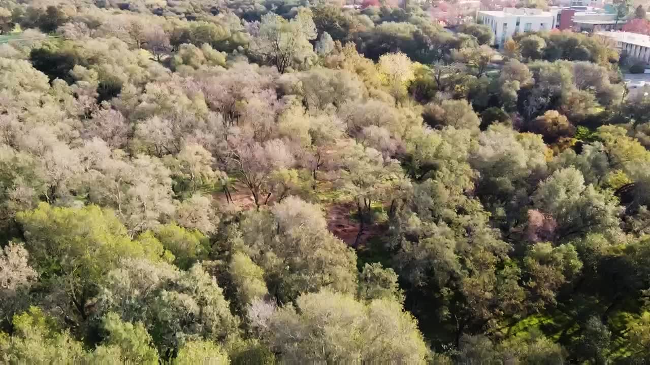 Tree Pro Tree Service Inc.