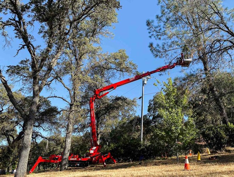 Tree Pro Tree Service Inc.