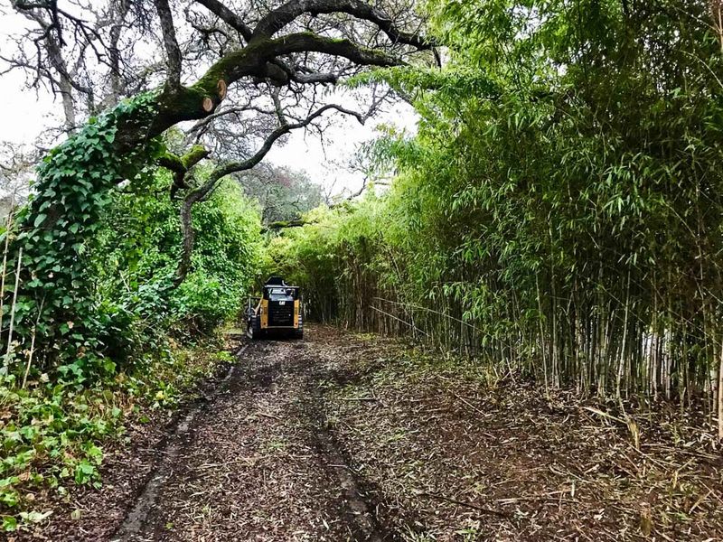 Tree Pro Tree Service Inc.