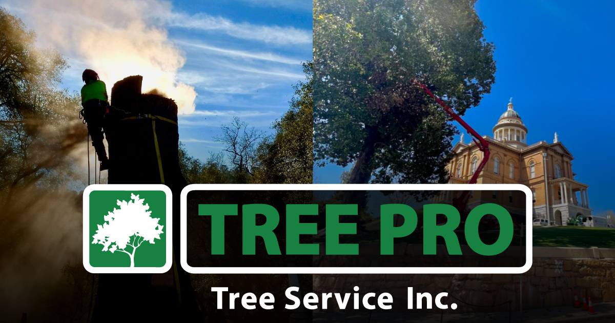 Tree Pro Tree Service Inc.