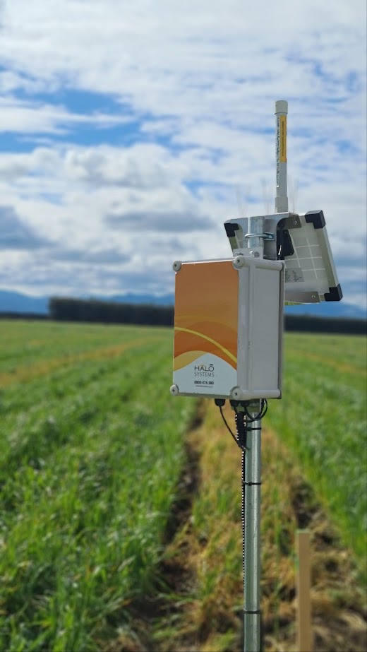 Introducing the Halo HSA420: Remote monitoring made simple! | Halo ...