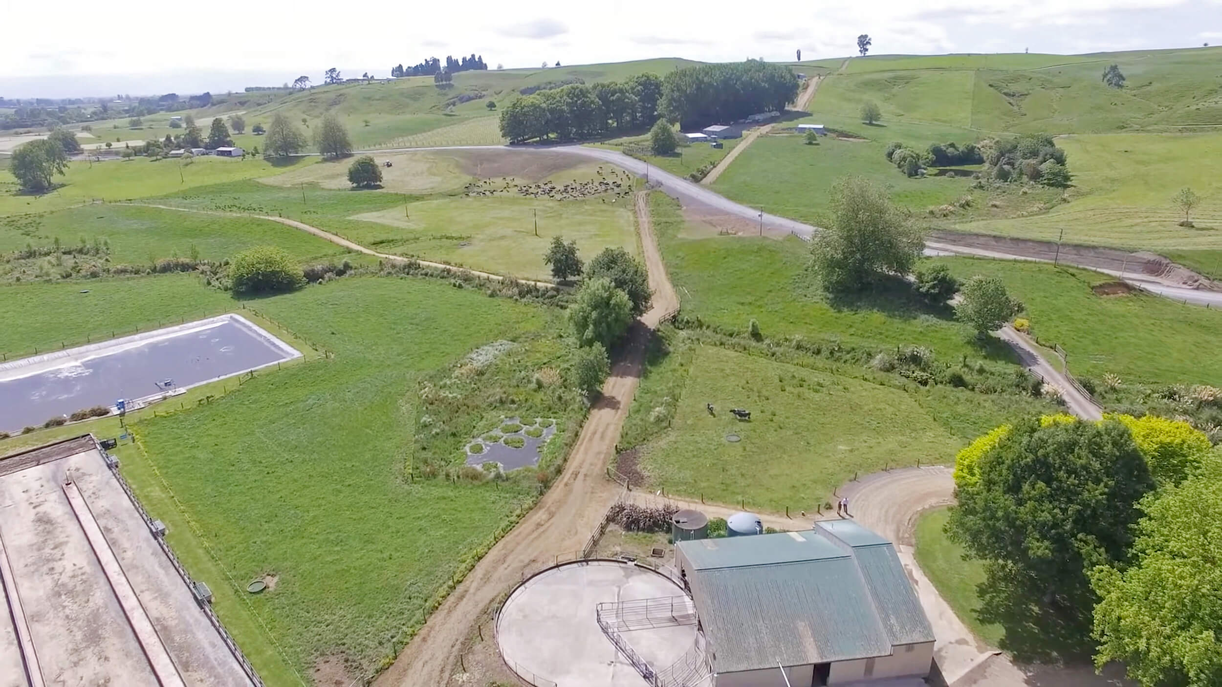 Rod McKinnon | Halo Systems Australia