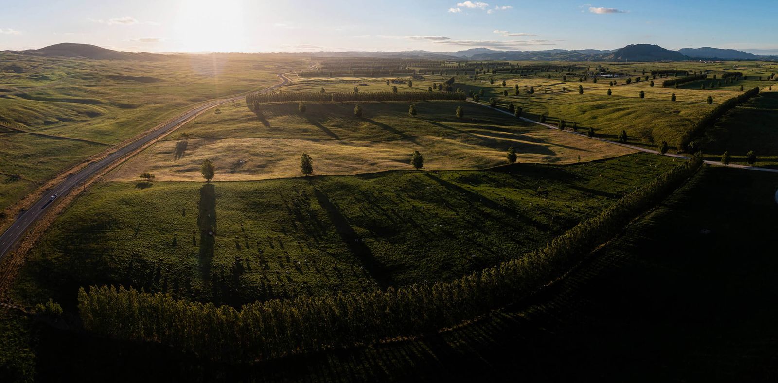 Halo Systems Australia