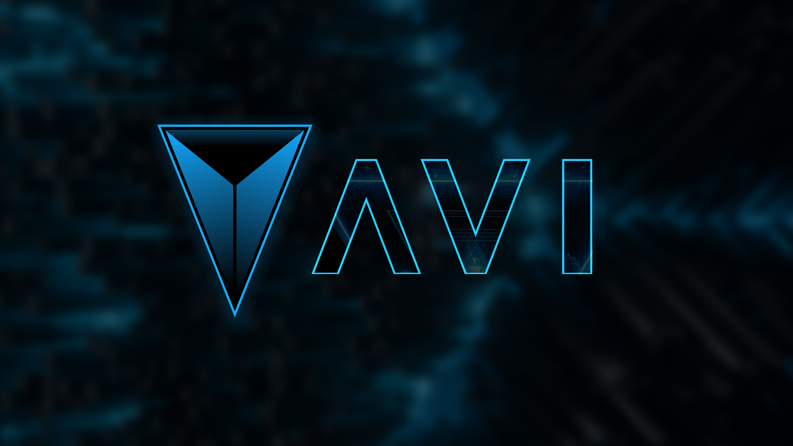 Home [www.aviparadigm.com]