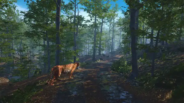 Educational VR Summer Camps for San Antonio | STEM Summer Program