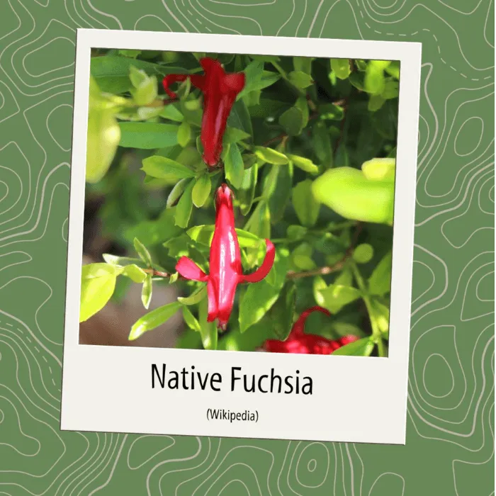 Hunter Wetlands - Volunteer | Newcastle NSW