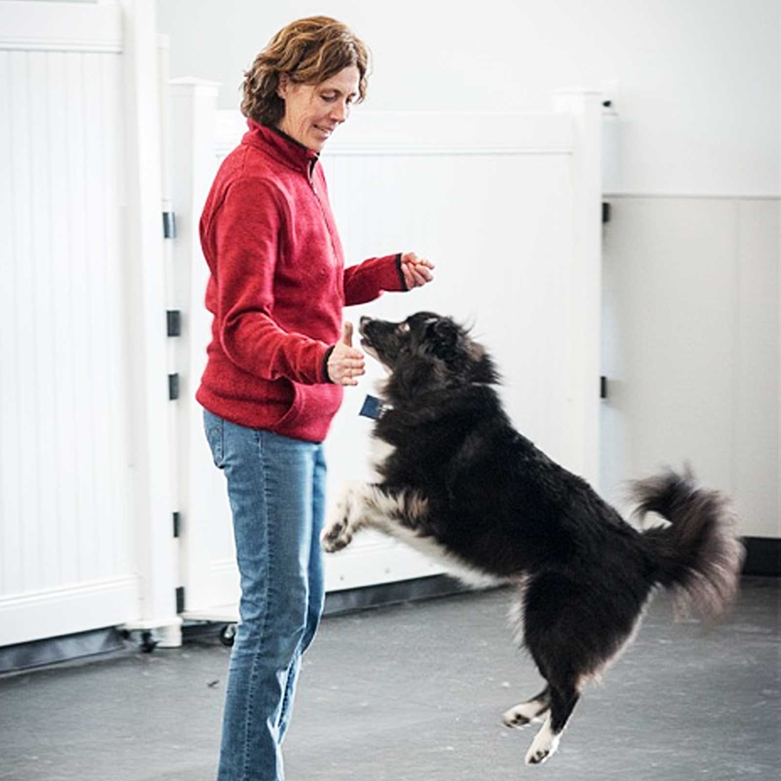 Training & Education | Cochrane & Area Humane Society