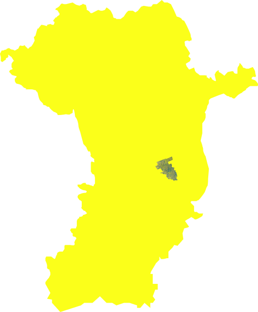 The Quoin — Reimagining regeneration