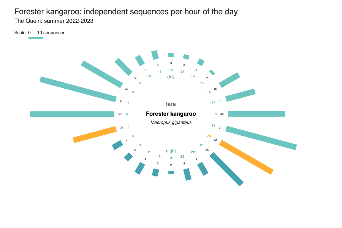 The Quoin: When and where do we see different species?