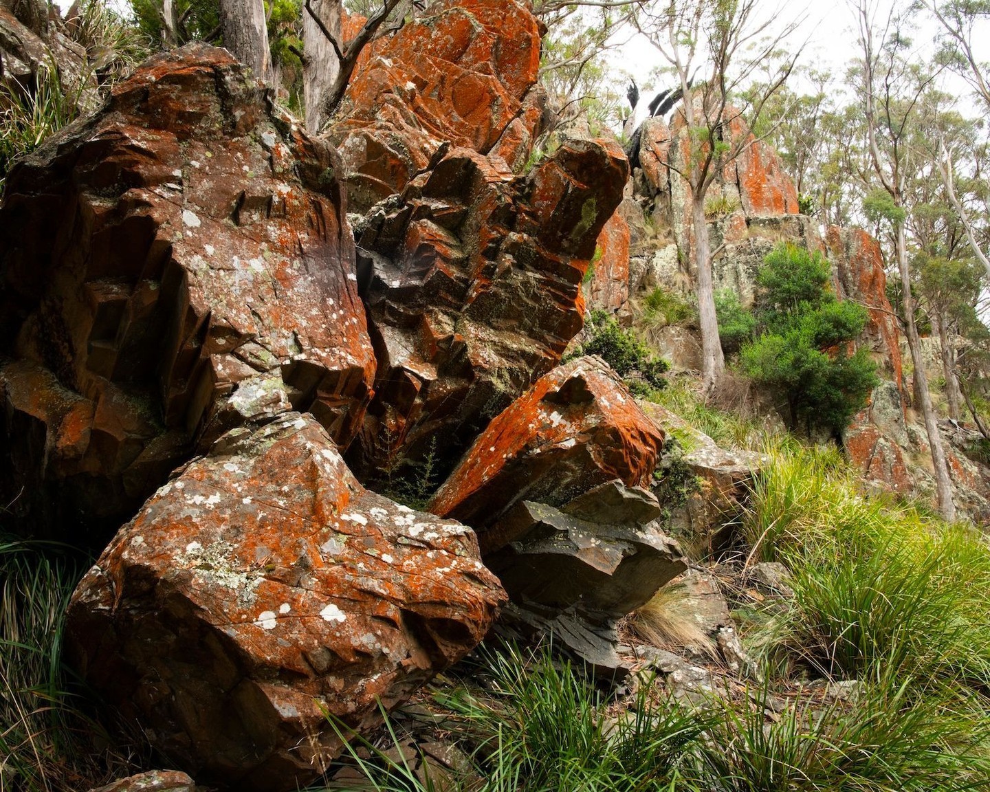 The Quoin — Reimagining regeneration