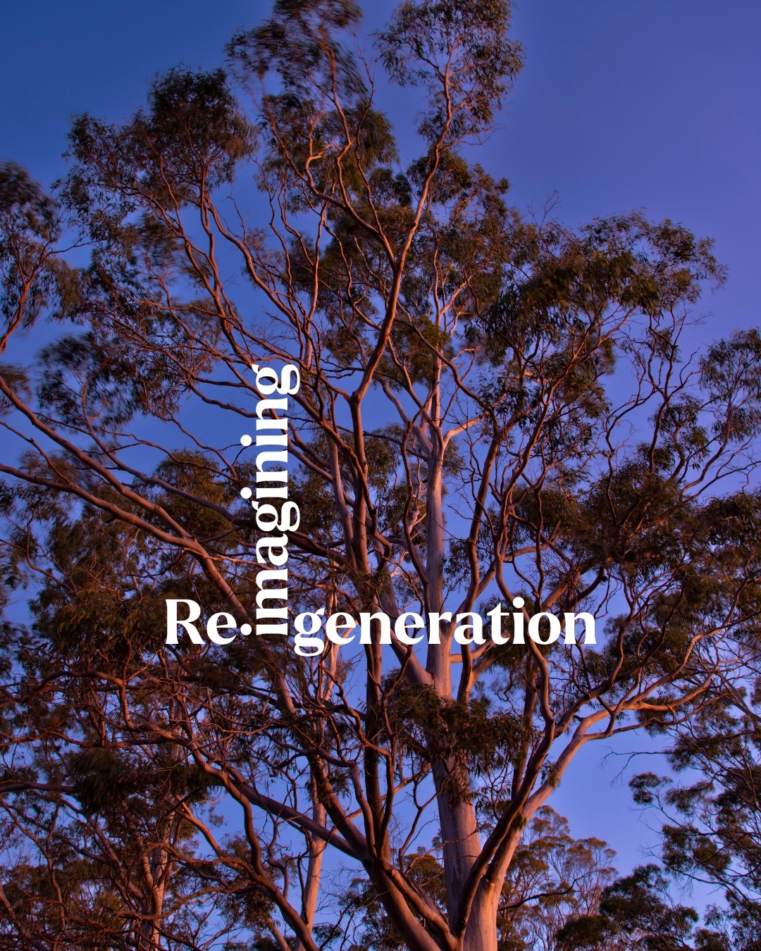 The Quoin — Reimagining regeneration