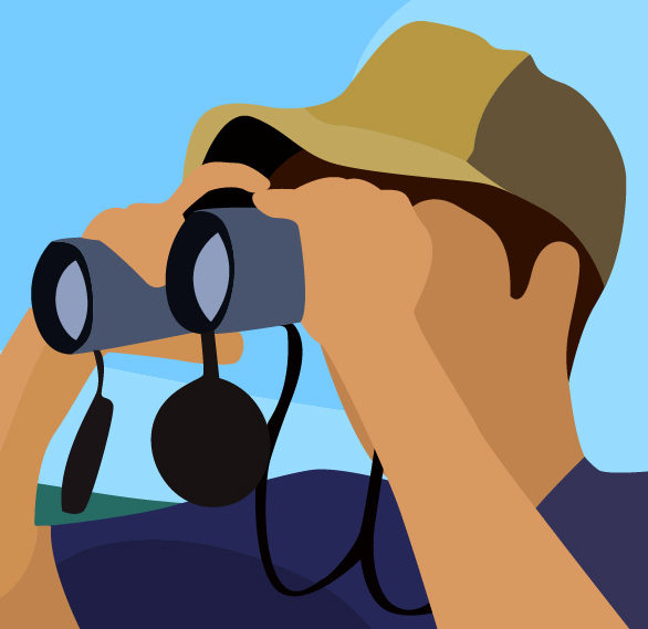 Rutopia: tailor-made, authentic trips to Mexico