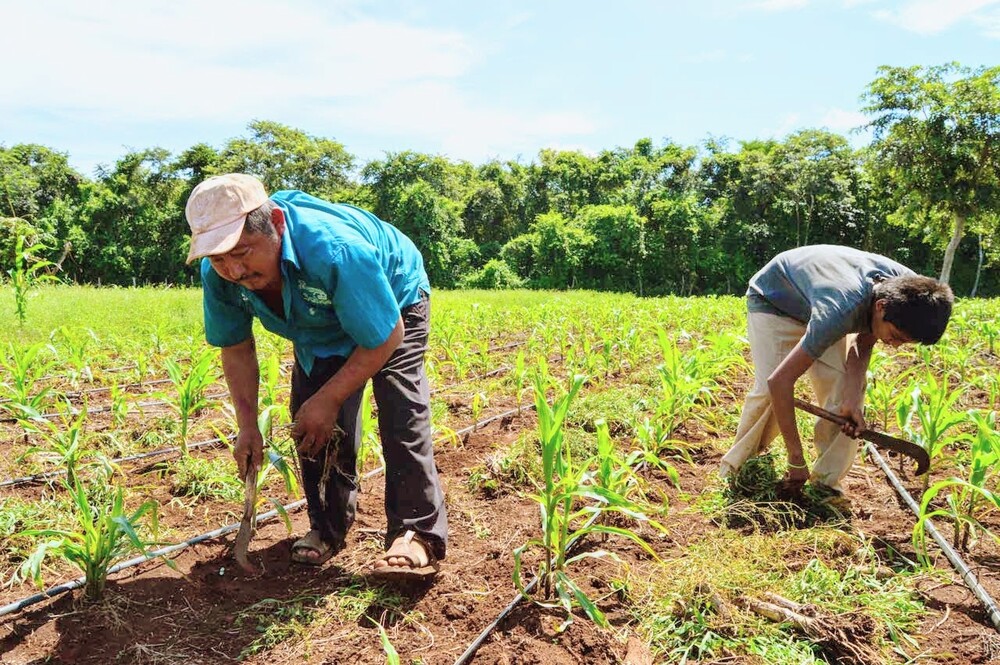 Cultivation of the Milpa: Enjoy the Ancestral Workshop