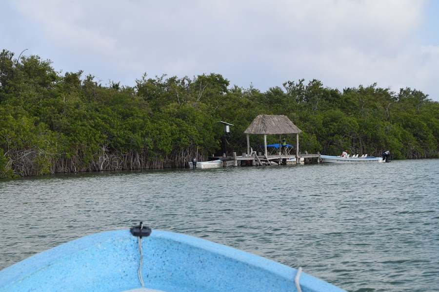 The Cave of the Hanging Snakes Quintana Roo